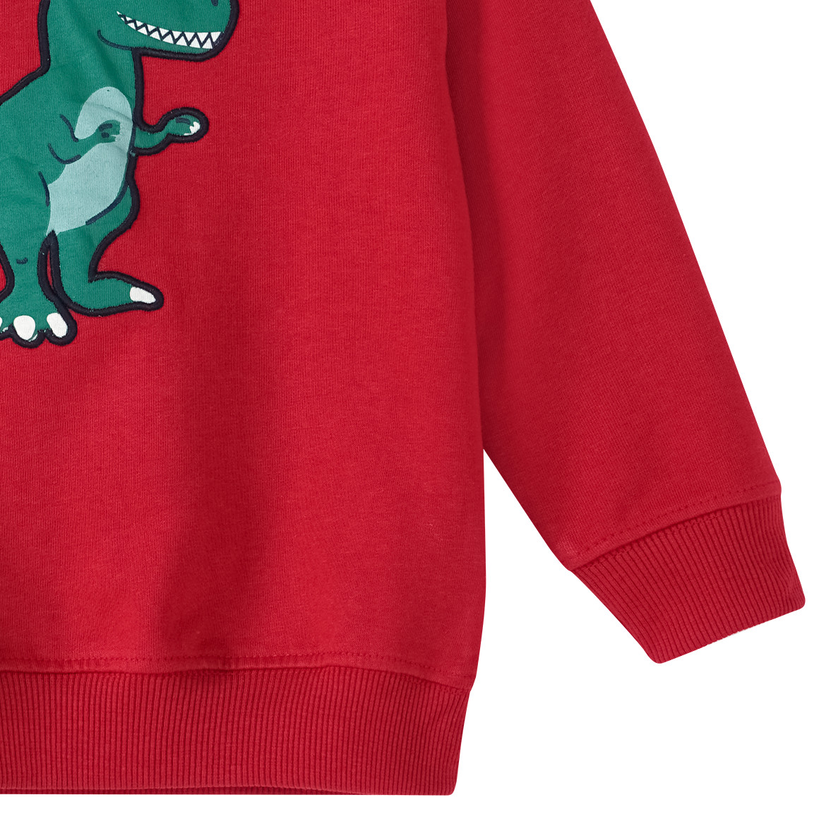 Jungen Sweatshirt mit Dino-Applikation | Ernsting's family