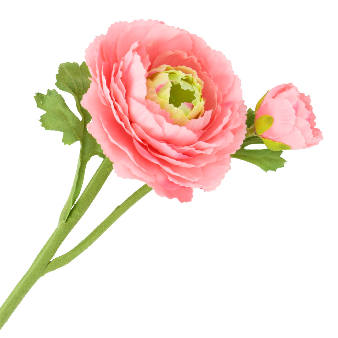 Kunstblume Ranunkel | Ernsting's family